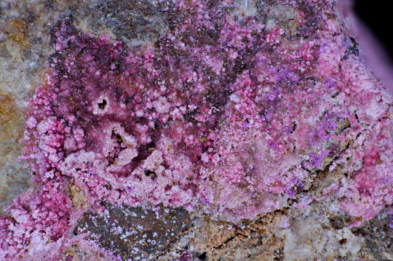 1515 Erythrite, Mount Howden Mine, Bimbowrie Conservation Park, Olary ...