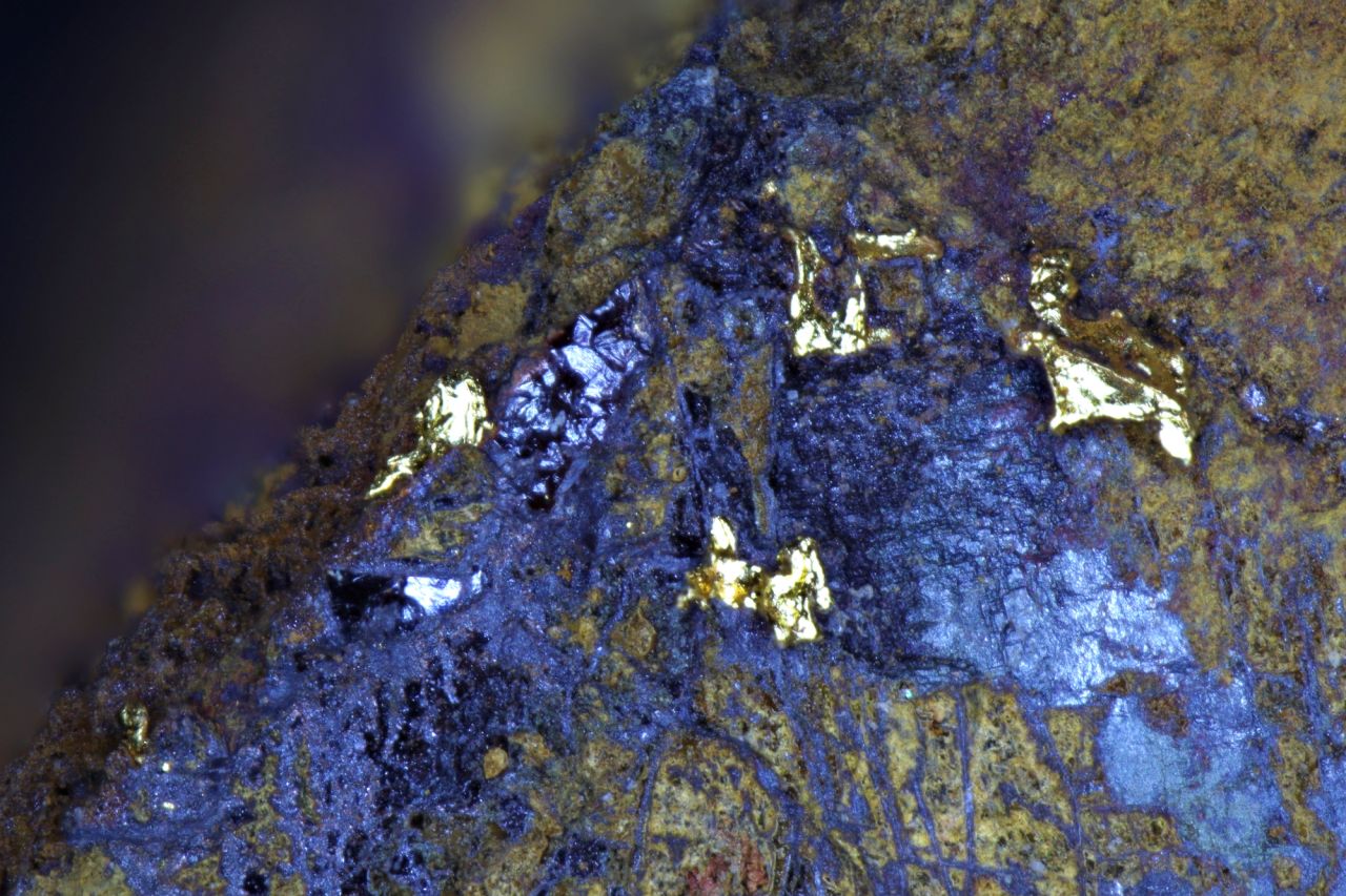 7015 JL2230 Gold, Mongolata Gold Fields, Burra, North Mt Lofty Ranges ...