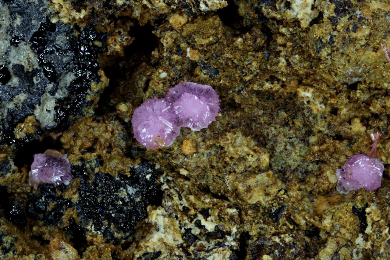 2133 Erythrite, Heterogenite, Mansfieldite, Mount Cobalt Mine, Selwyn ...